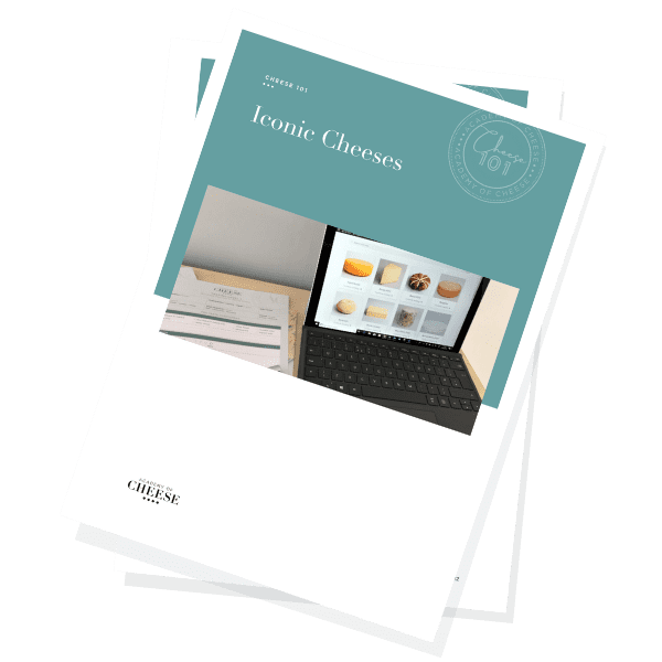 Download 101 Guide Iconic Cheeses