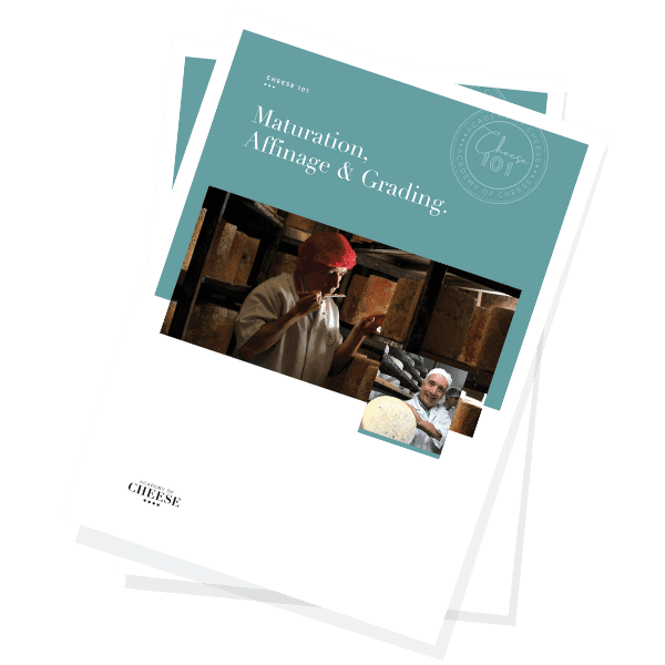 Download | 101 Guide | Cheese Maturation, Affinage & Grading